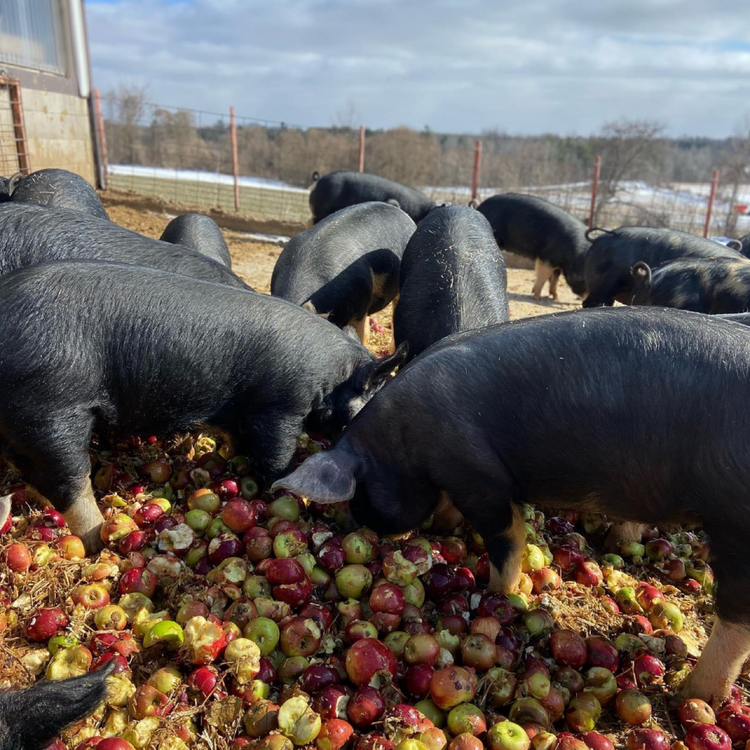 Products – Growing Broke Farm